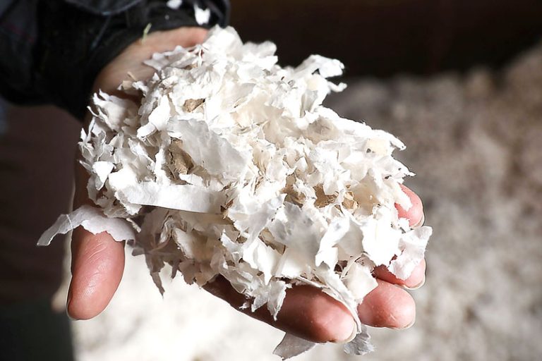 Pure Bedding | Ripe de papier, améliore la qualité de vie des animaux ...